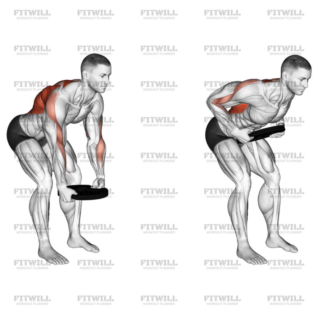 Weighted Plate Bent Over Row: Exercise Guide, Video, Techniques ...