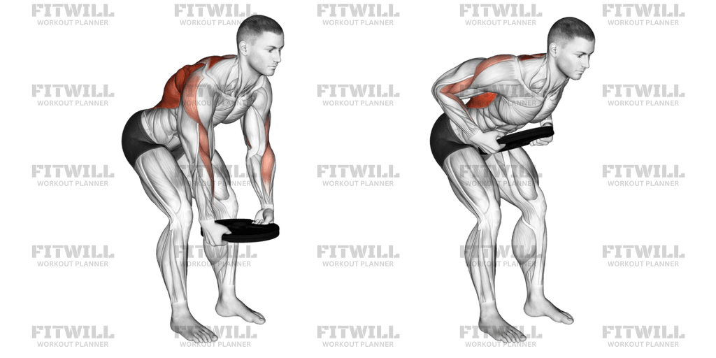 Remo Inclinado Con Disco Lastrado: Guía de Ejercicios, Video, Técnicas ...