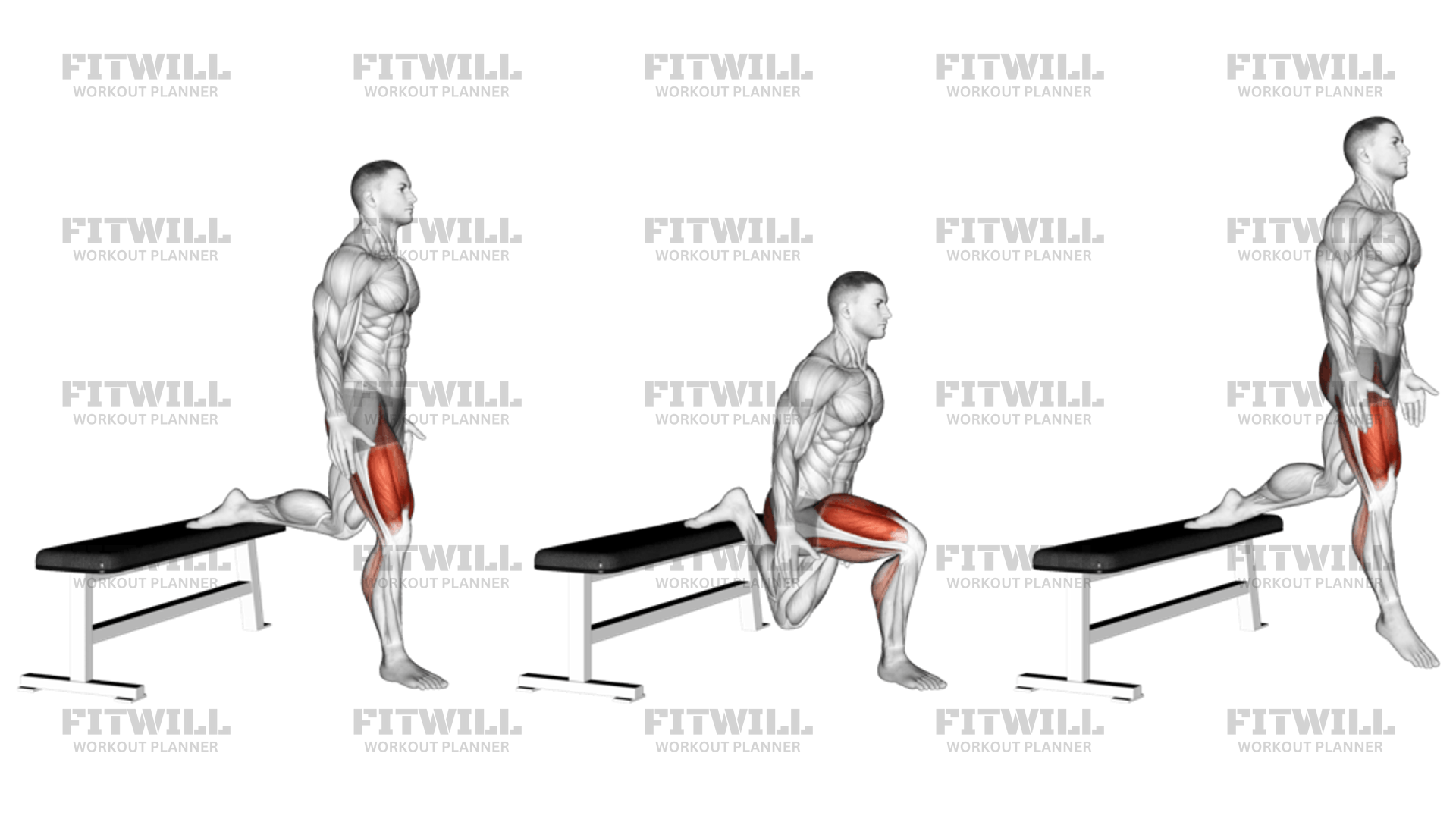Sentadilla Búlgara Con Salto: Guía de Ejercicios, Técnicas, Beneficios ...