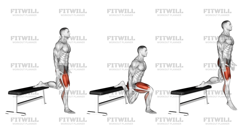 Bulgarian Jump Squat: Exercise Guide, Techniques, Benefits, How to ...