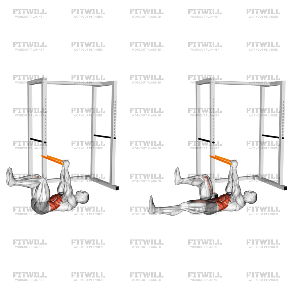 Resistance Band Anti Rotation Dead Bug: Exercise Guide, Techniques ...