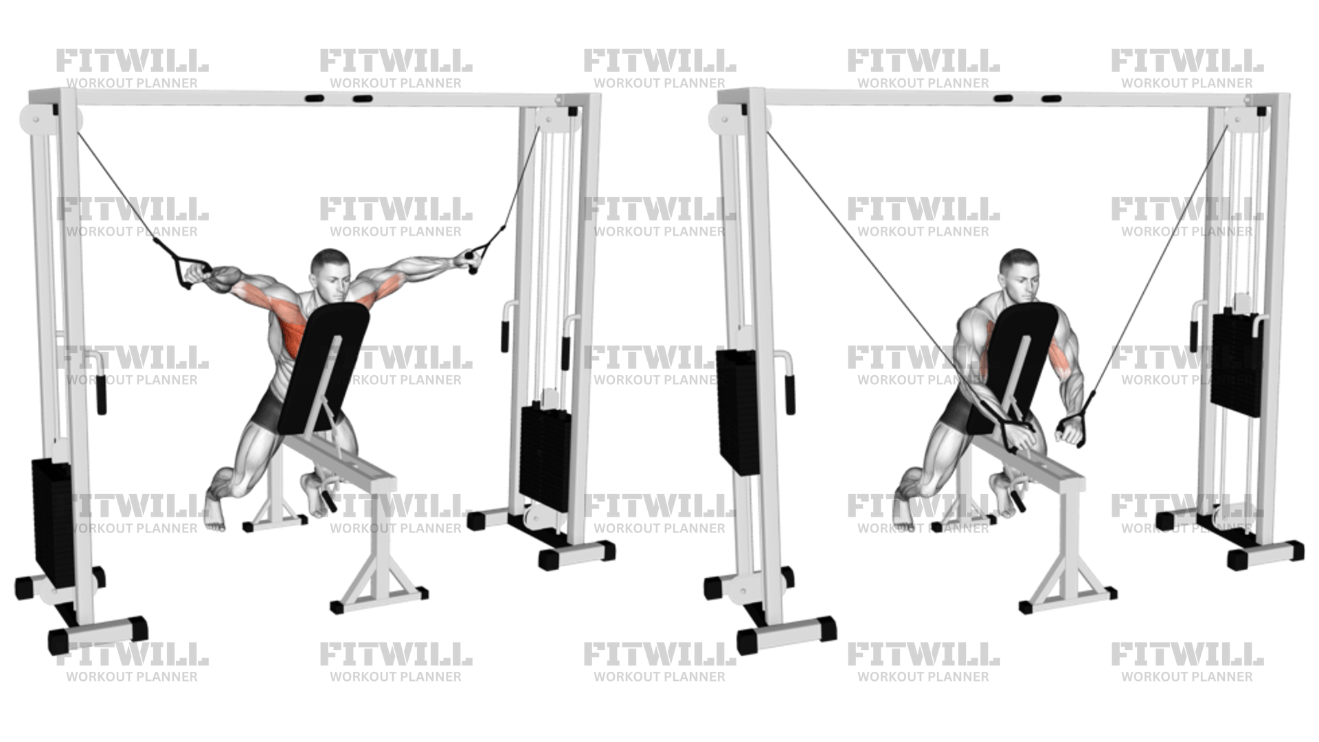 Cable Fly With Chest Supported: Exercise Guide, Techniques, Benefits ...