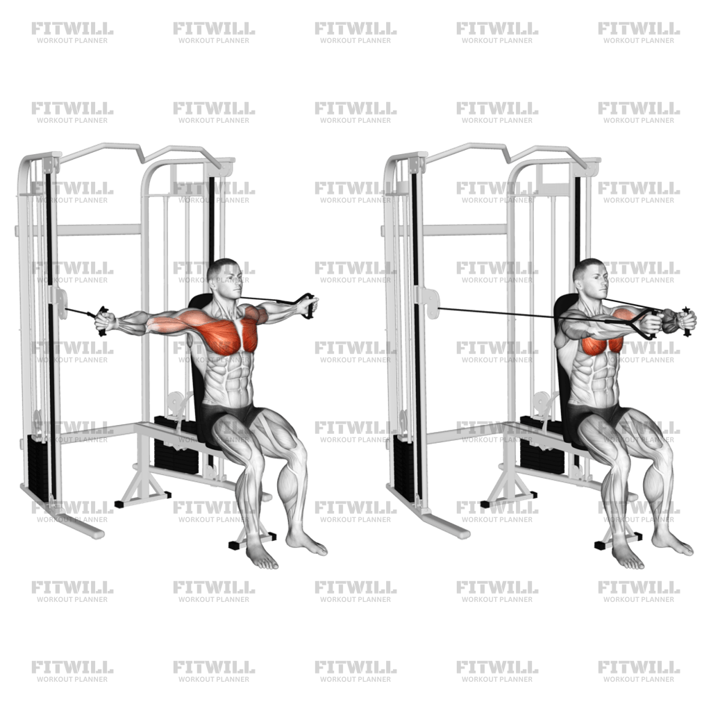Aperturas De Pecho Sentado Con Polea: Guía de Ejercicios, Técnicas ...