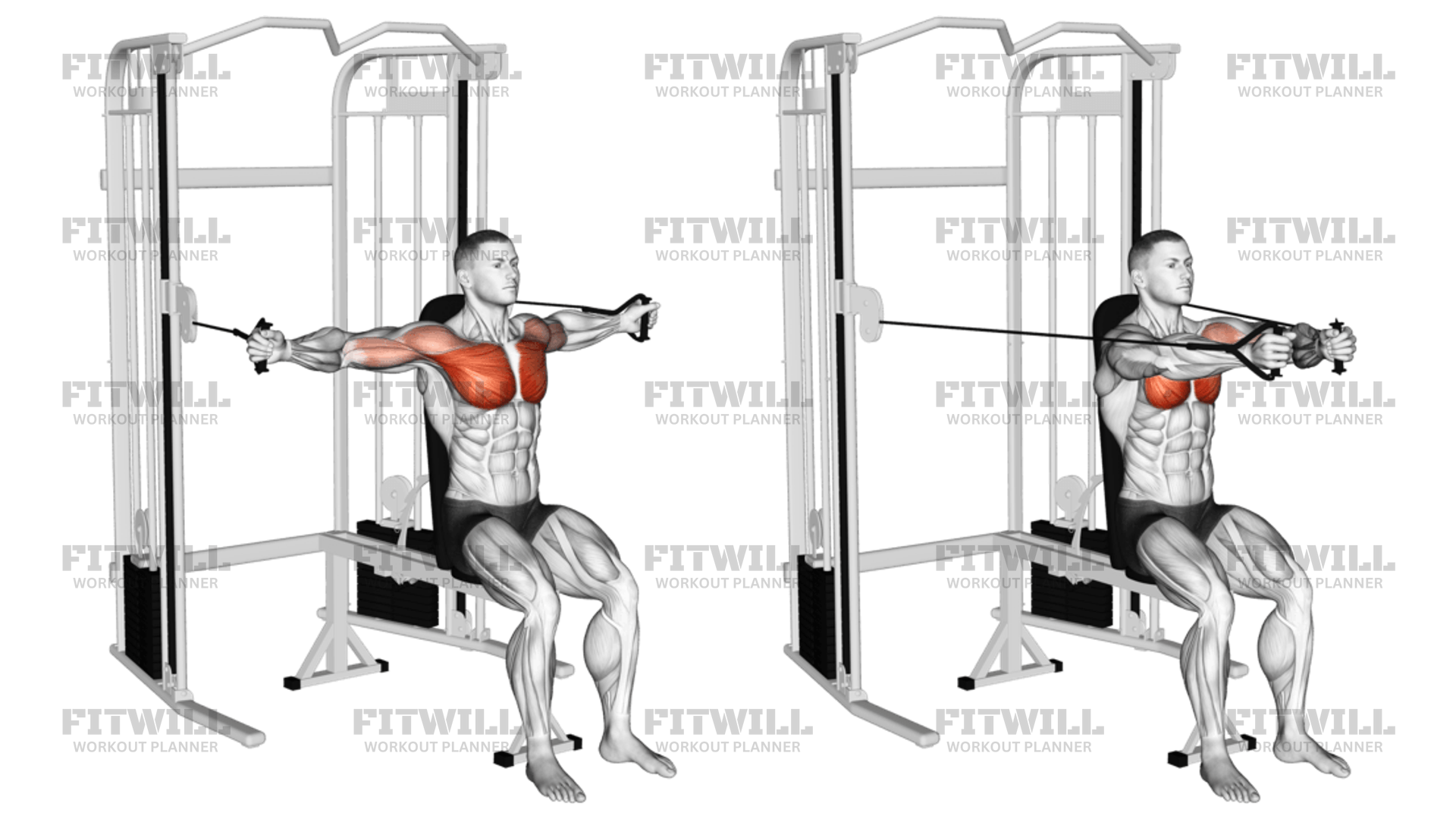 Aperturas De Pecho Sentado Con Polea: Guía de Ejercicios, Técnicas ...