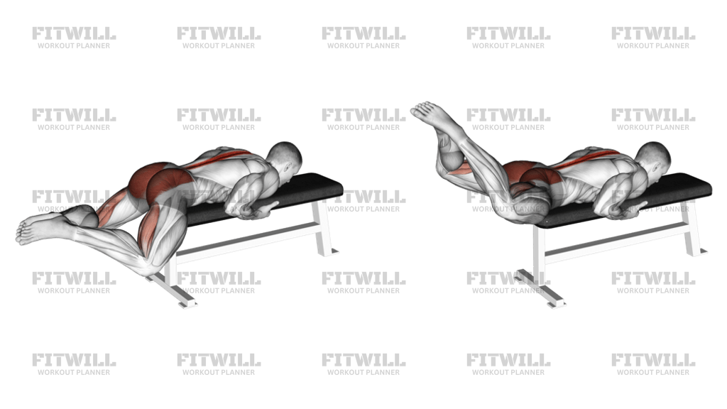Frog Reverse Hyperextension (on A Bench): Exercise Guide, Techniques ...