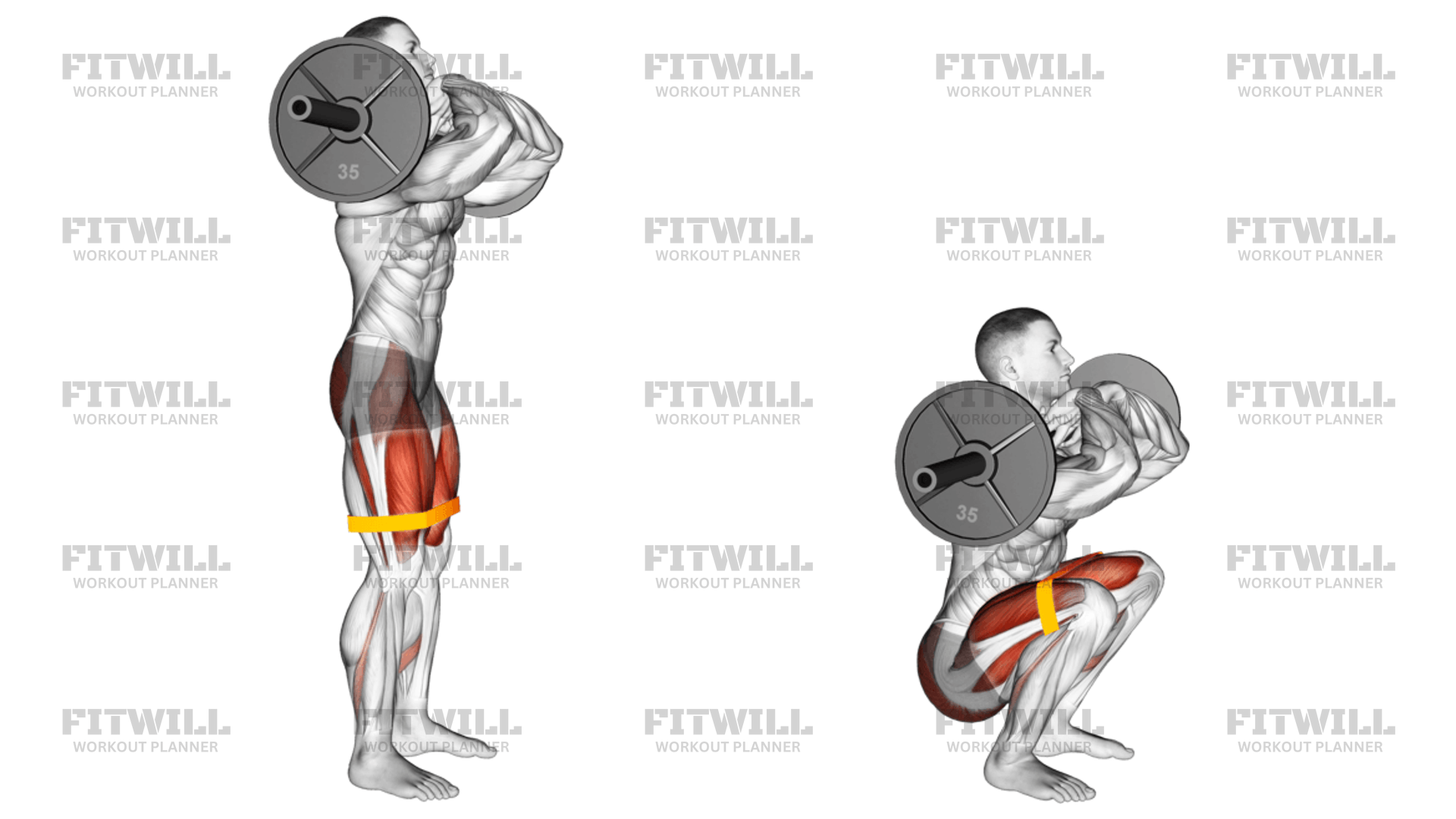 Barbell Front Chest Squat With Resistance Band: Exercise Guide ...