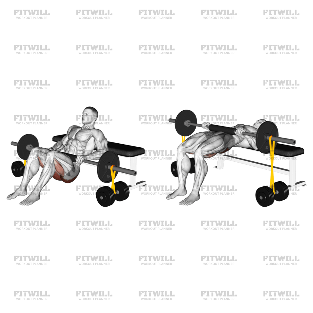 Barbell Hip Thrust With Resistance Band: Exercise Guide, Techniques ...