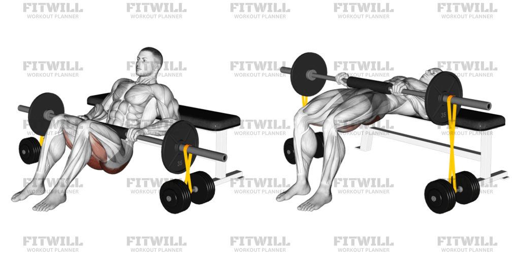 Barbell Hip Thrust With Resistance Band: Exercise Guide, Techniques ...