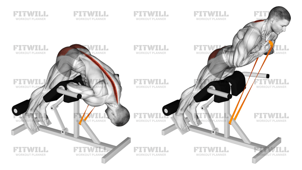 Roman Chair Resistance Band 45 Degrees Hyperextension: Exercise Guide ...