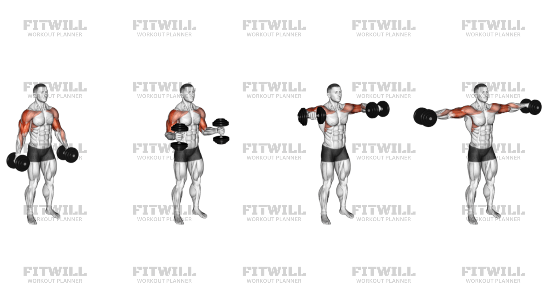 Dumbbell Poliquin Lateral Raise: Exercise Guide, Techniques, Benefits ...
