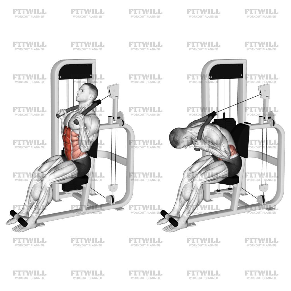 Lever Seated Full Crunch: Exercise Guide, Techniques, Benefits, How to ...