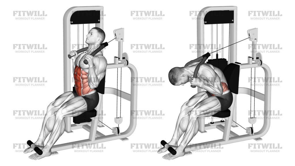 Lever Seated Full Crunch: Exercise Guide, Techniques, Benefits, How to ...