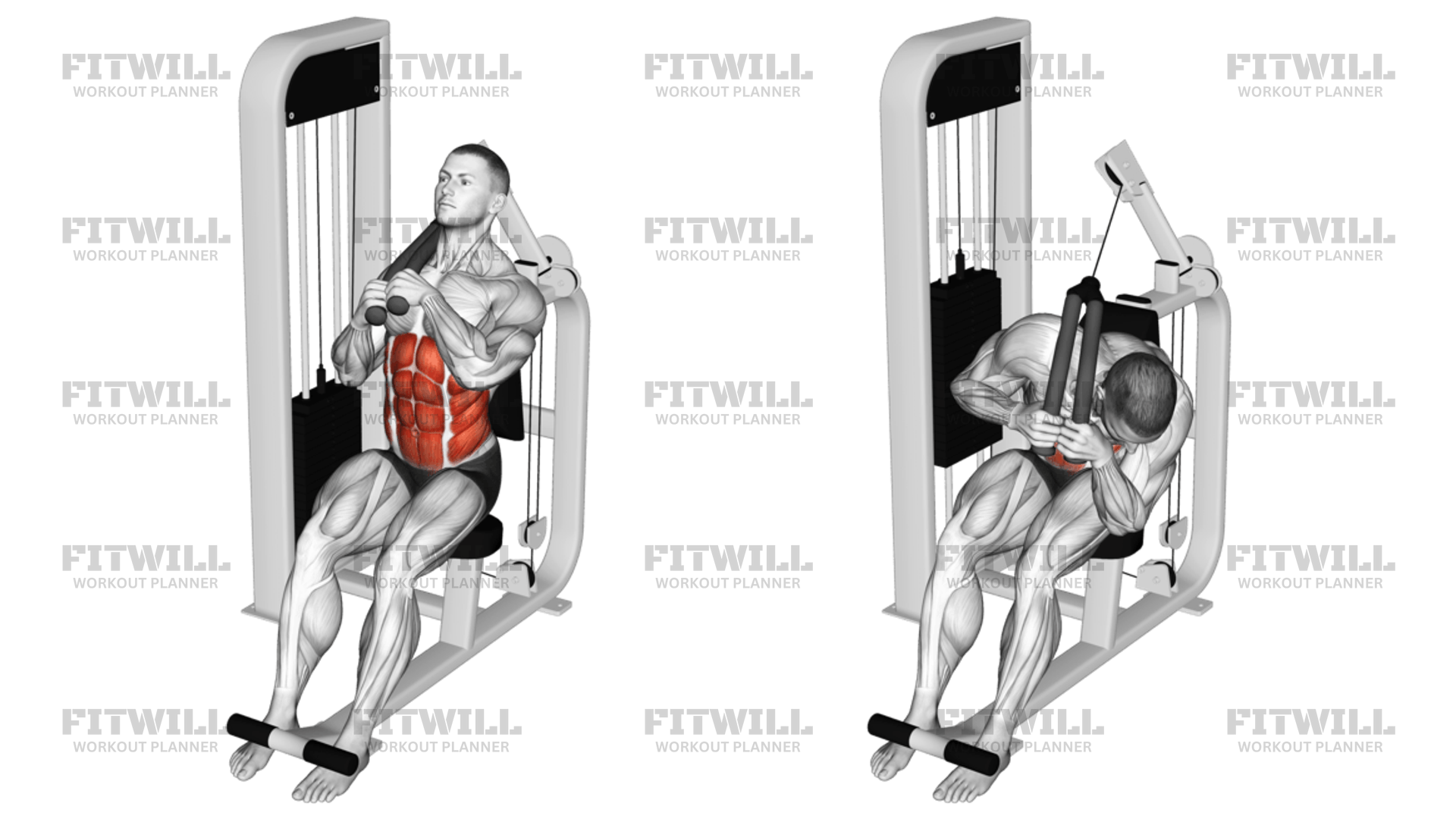 Crunch Lateral Izquierdo En Máquina De Palanca: Guía de Ejercicios ...