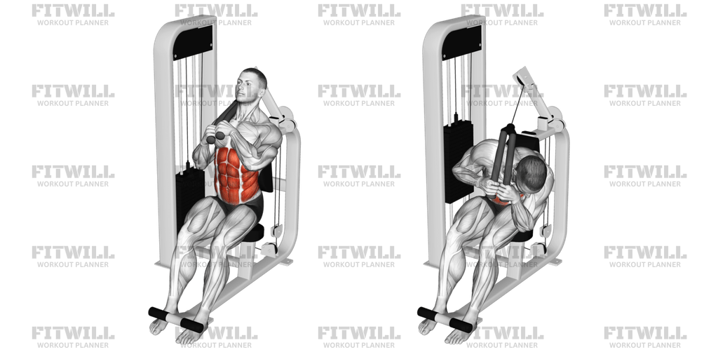 Lever Seated Left Side Crunch: Exercise Guide, Techniques, Benefits ...