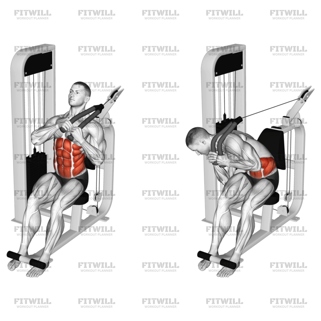 Lever Seated Right Side Crunch: Exercise Guide, Techniques, Benefits ...