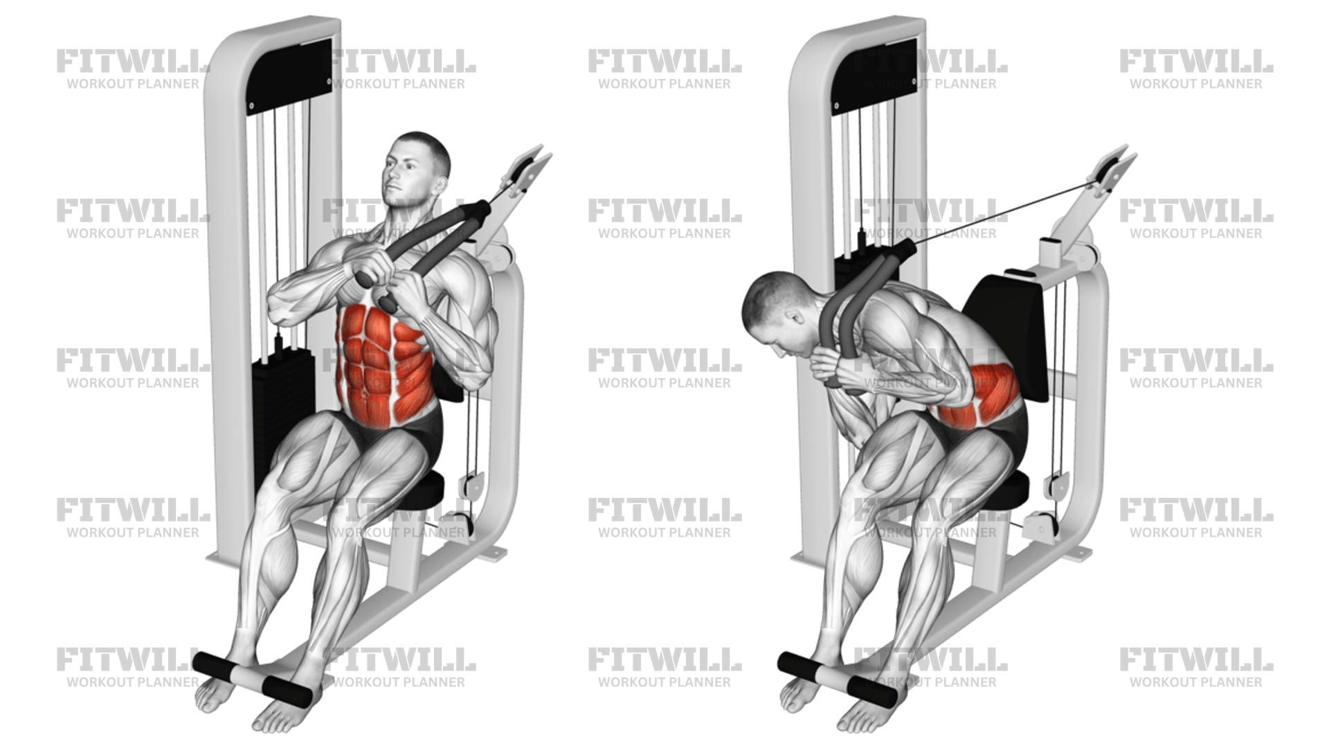 Lever Seated Right Side Crunch: Exercise Guide, Techniques, Benefits ...