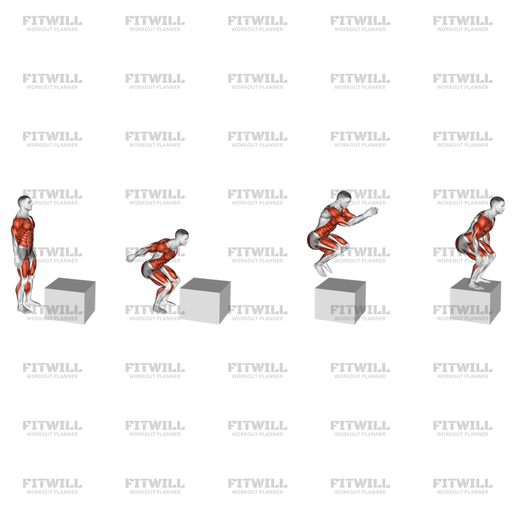 Jump On Fit-Box: Exercise Guide, Video, Techniques, Benefits, How to ...