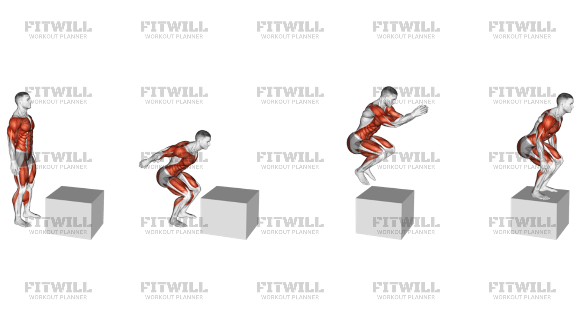 Jump On Fit-Box: Exercise Guide, Video, Techniques, Benefits, How to ...