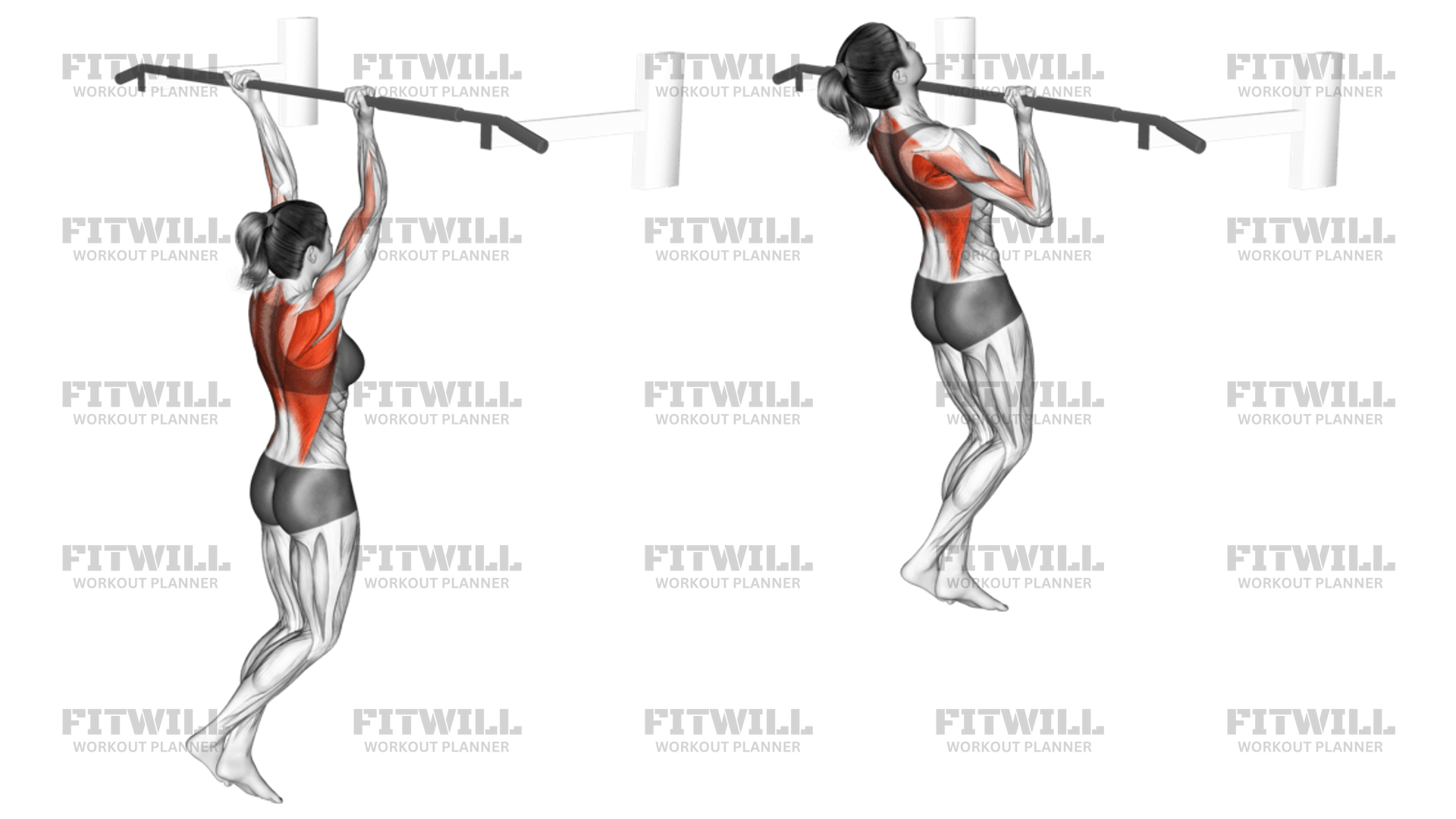 Reverse Grip Pull-up: Exercise Guide, Video, Techniques, Benefits, How ...