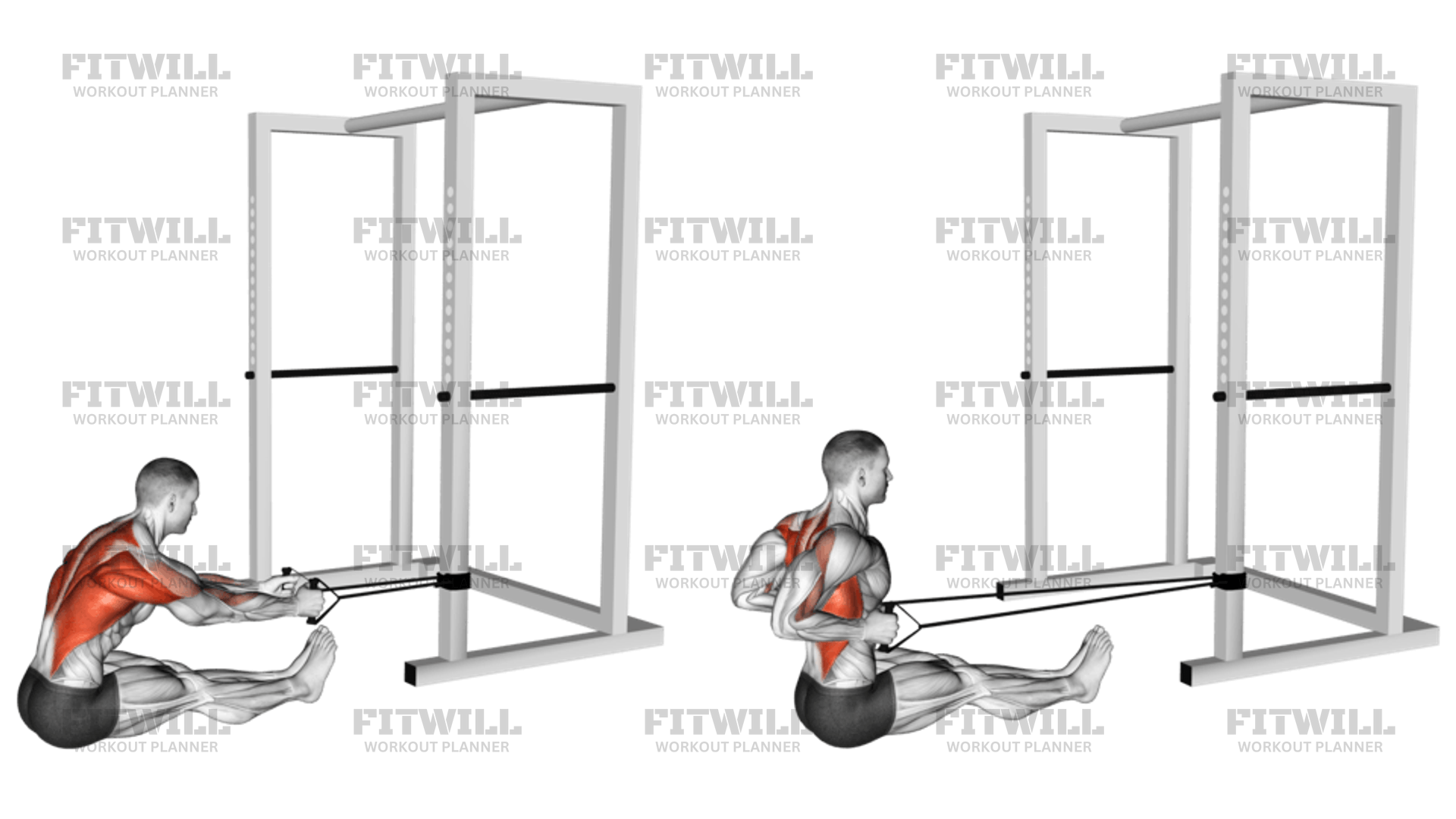 Remo Sentado Con Banda: Guía de Ejercicios, Video, Técnicas, Beneficios ...