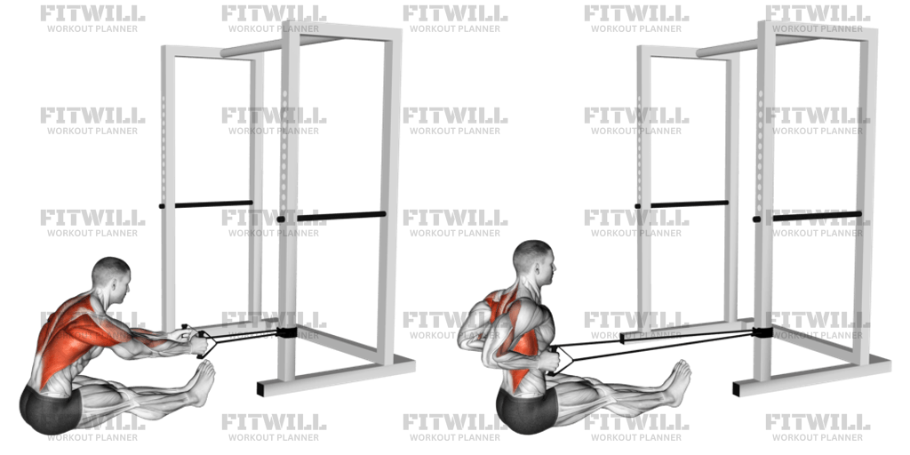 Band Seated Row: Exercise Guide, Video, Techniques, Benefits, How to ...