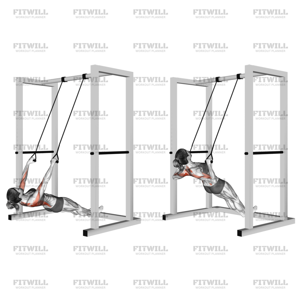 Inverted Row With Straps: Exercise Guide, Video, Techniques, Benefits, How to, Muscles Worked ...