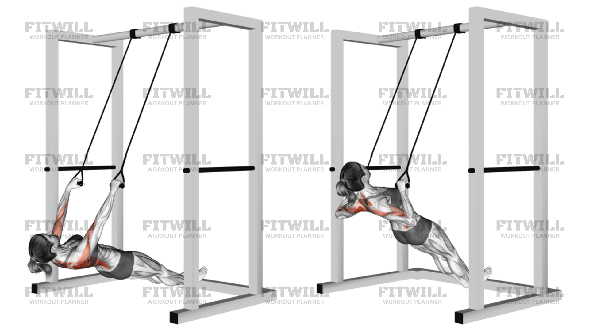 Inverted Row With Straps: Exercise Guide, Video, Techniques, Benefits, How to, Muscles Worked ...