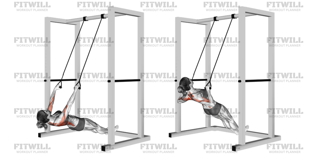 Inverted Row With Straps: Exercise Guide, Video, Techniques, Benefits ...