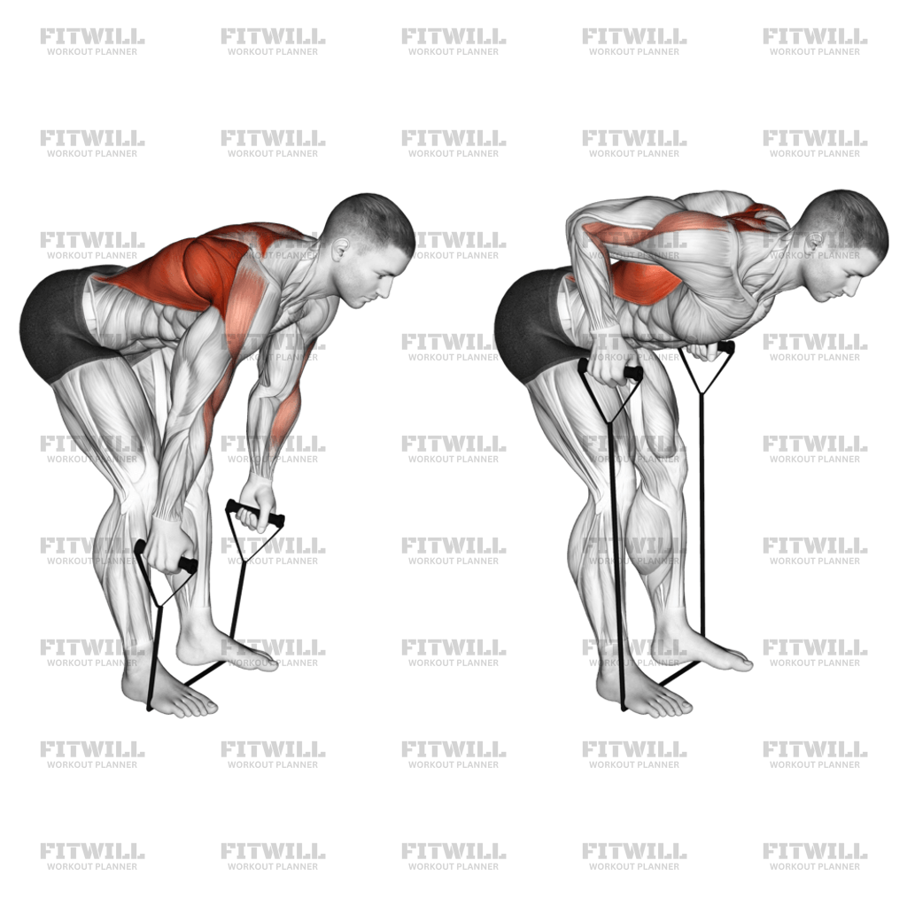 Band Bent Over Row: Exercise Guide, Video, Techniques, Benefits, How to ...