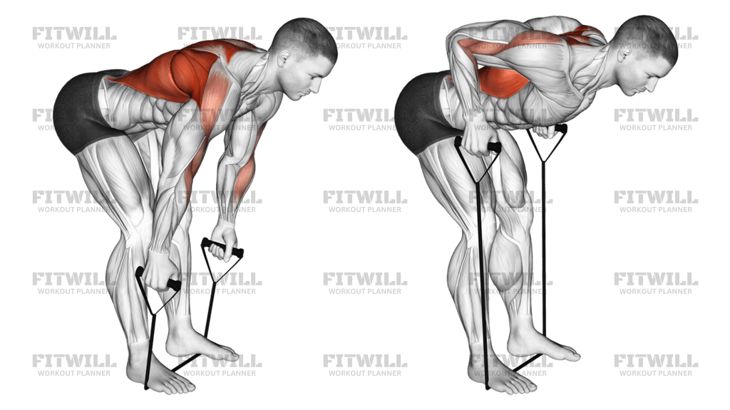 Band Bent Over Row: Exercise Guide, Video, Techniques, Benefits, How to ...