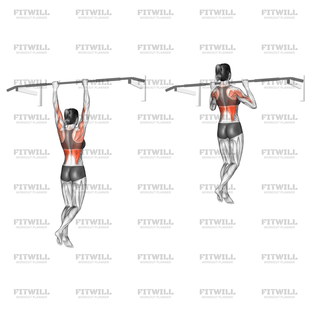 Shoulder Grip Pull-up: Exercise Guide, Video, Techniques, Benefits, How ...