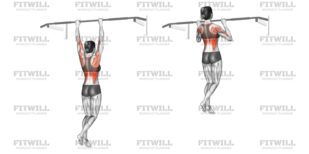 Shoulder Grip Pull-up: Exercise Guide, Video, Techniques, Benefits, How ...