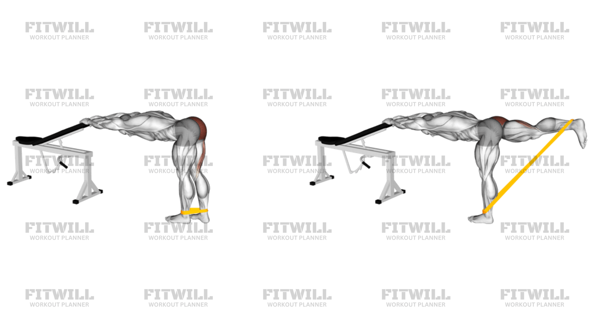 Resistance Band One Leg Kickback (Bent Position): Exercise Guide, Video ...