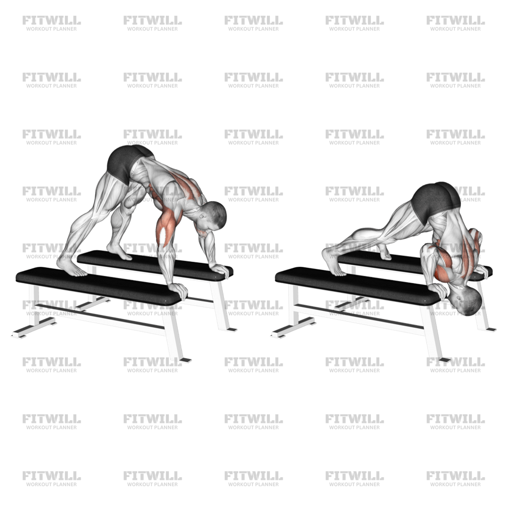 Pike Press (between Benches): Exercise Guide, Techniques, Benefits, How ...