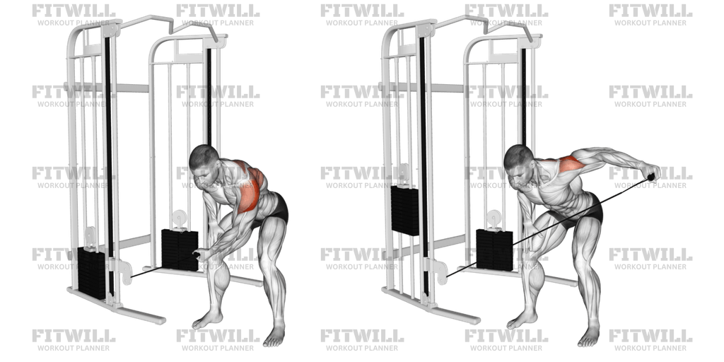 Cable Bent-Over One Arm Lateral Raise: Exercise Video | Fitwill