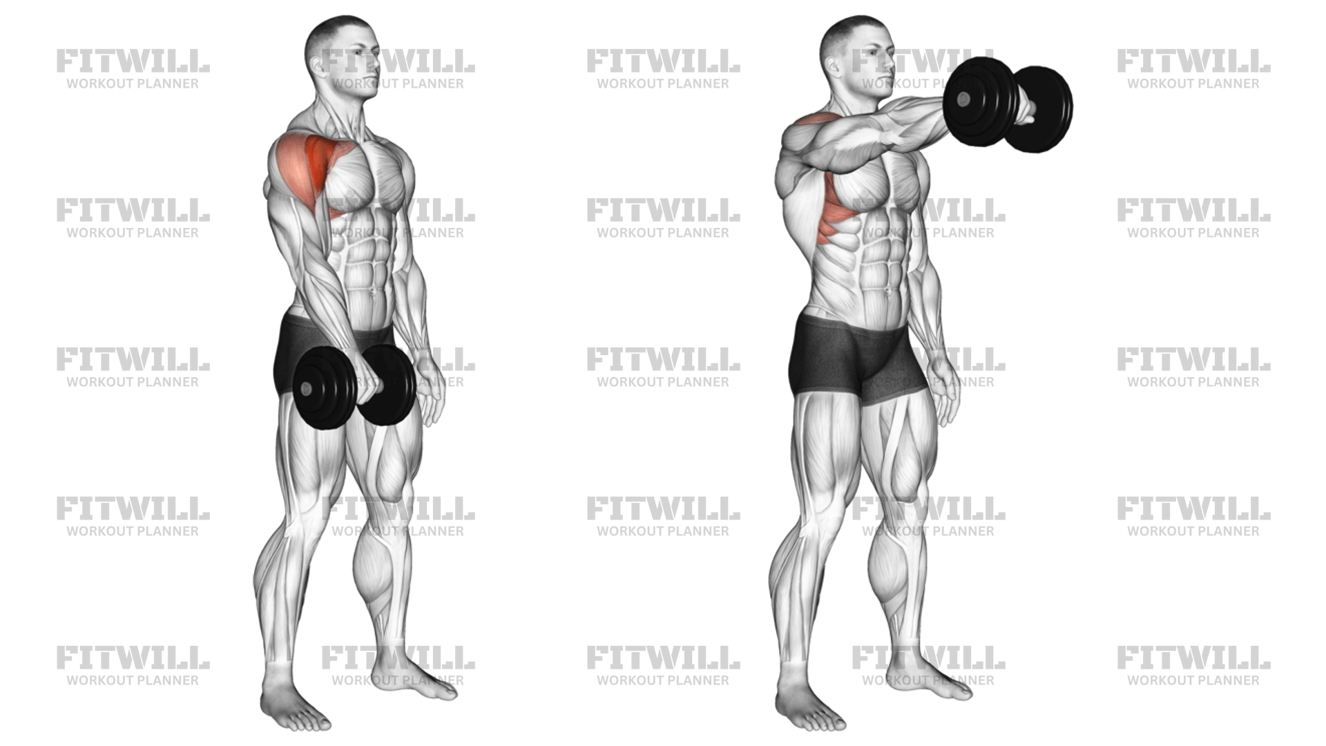 Dumbbell One Arm Front Raise: Exercise Guide, Video, Techniques ...