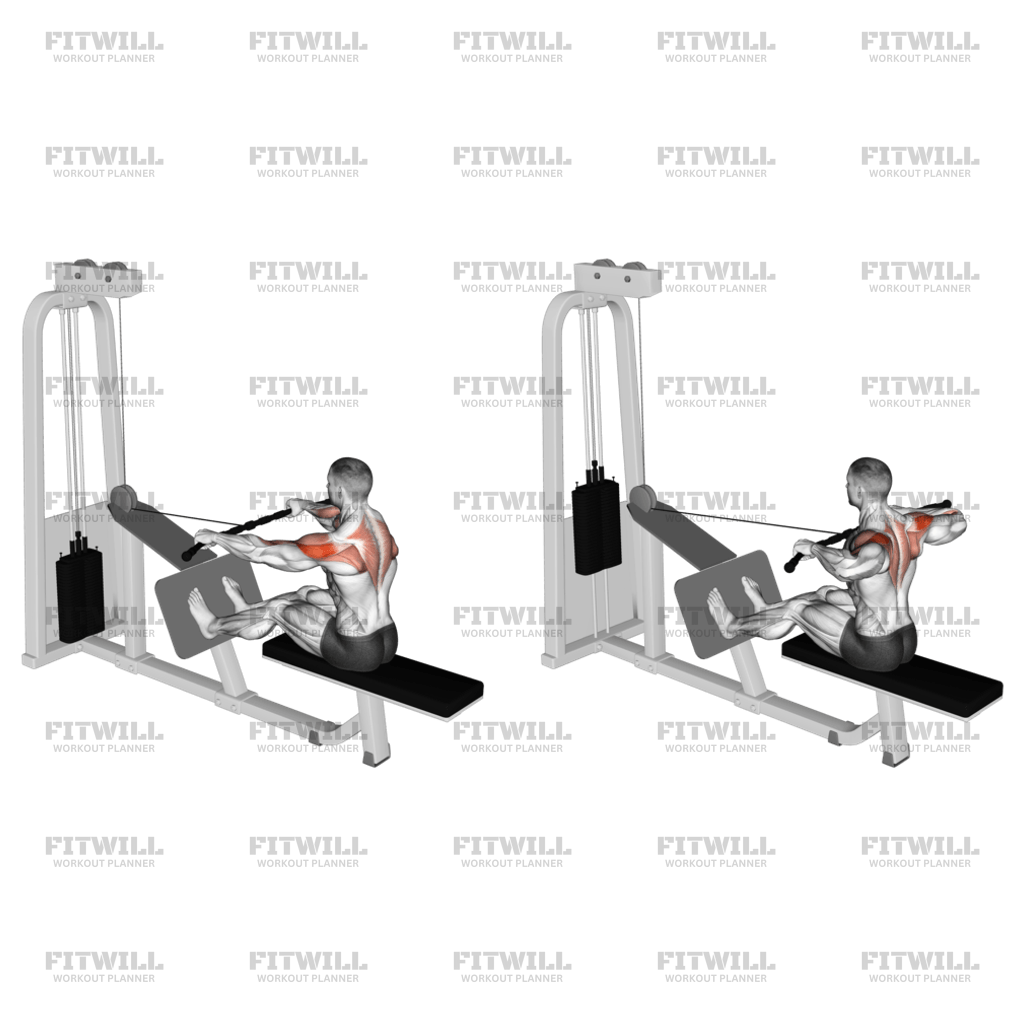 Cable Rear Delt Row: Exercise Guide, Video, Techniques, Benefits, How ...