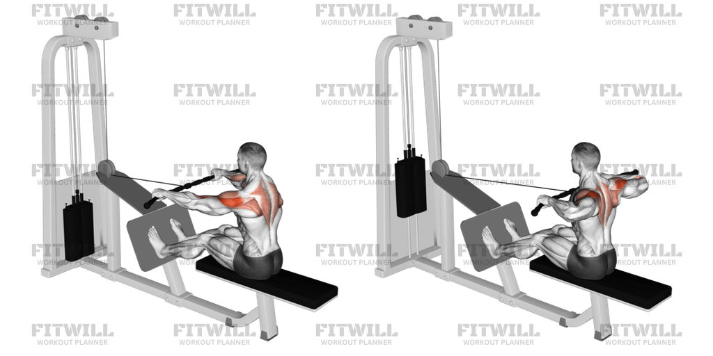 Cable Rear Delt Row: Exercise Guide, Video, Techniques, Benefits, How ...
