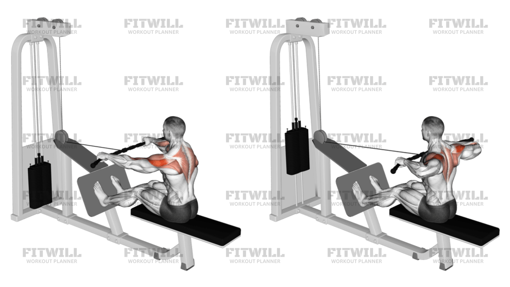 Cable Rear Delt Row: Exercise Guide, Video, Techniques, Benefits, How ...