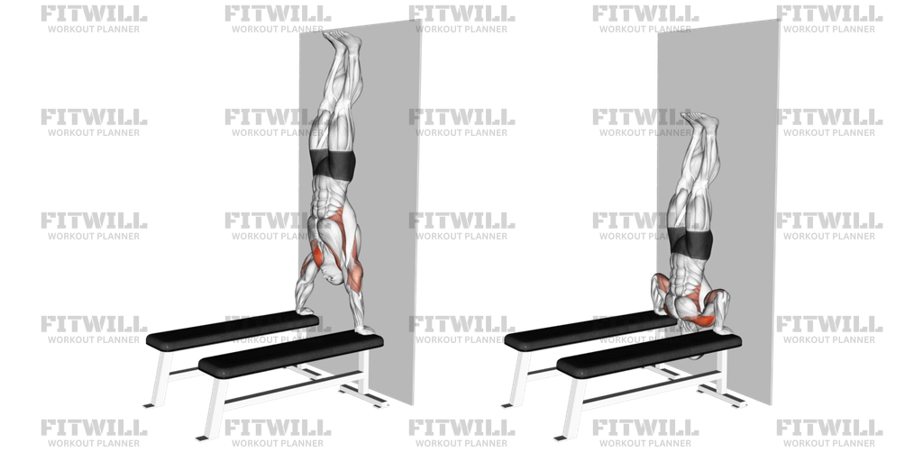 Handstand Shoulder Press With Wall (between Benches): Exercise Guide ...