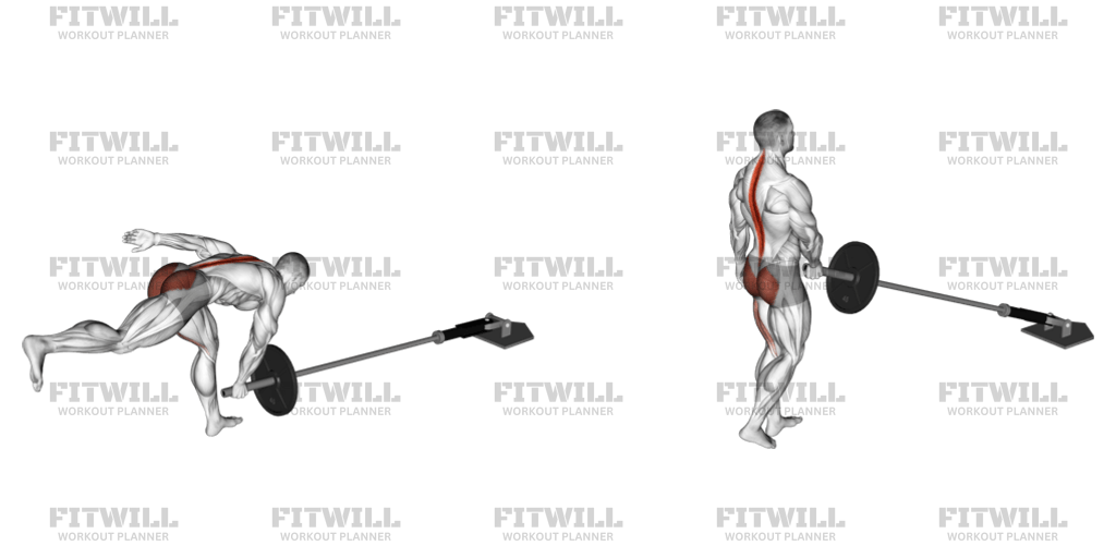 Landmine Tek Bacak RDL: Egzersiz Rehberi, Video, Teknikler, Faydalar ...