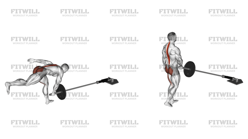 Landmine Single Leg Landmine RDL: Exercise Guide, Video, Techniques ...