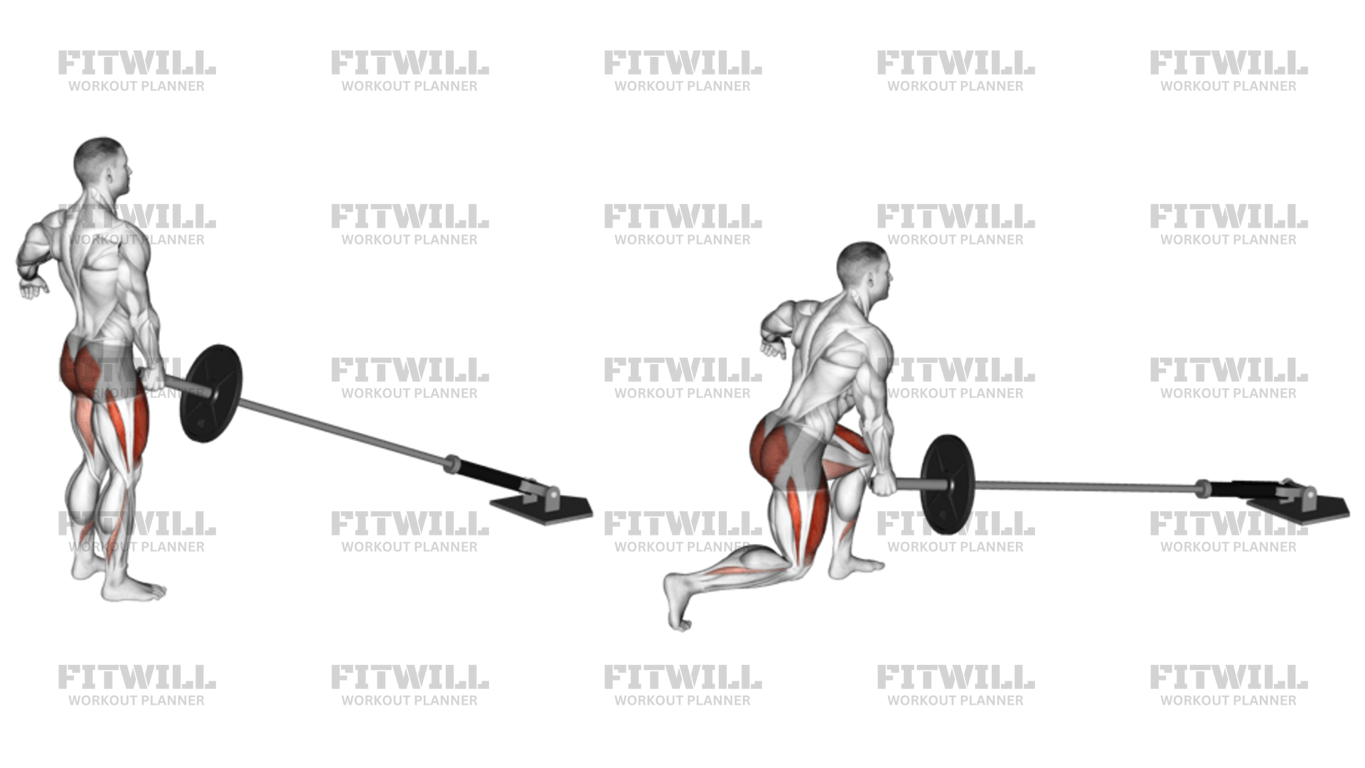 Afundo Com Barra Em Terra: Guia de Exercícios, Vídeo, Técnicas ...