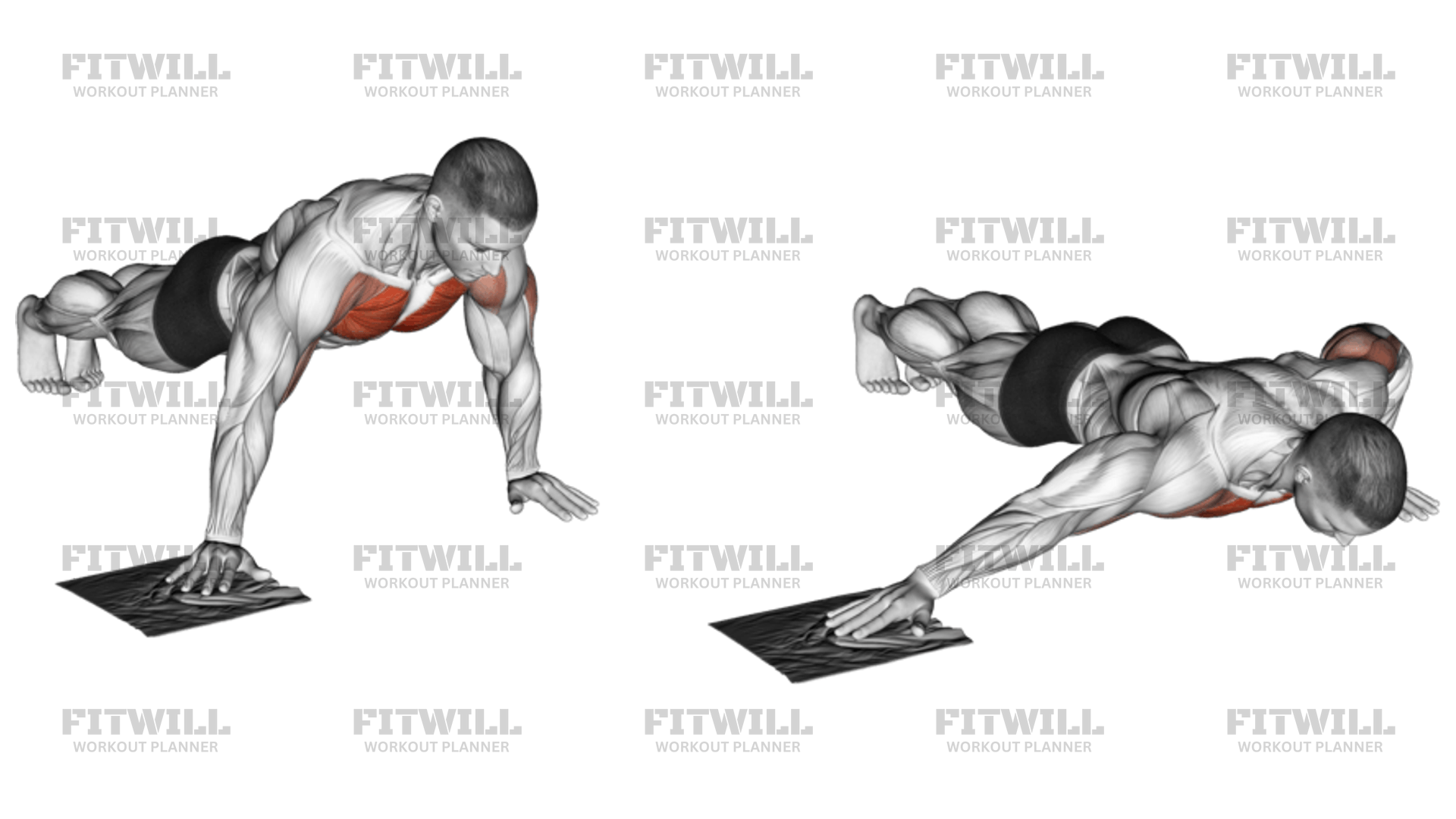 Side Push-up With Towel: Exercise Guide, Techniques, Benefits, How to ...
