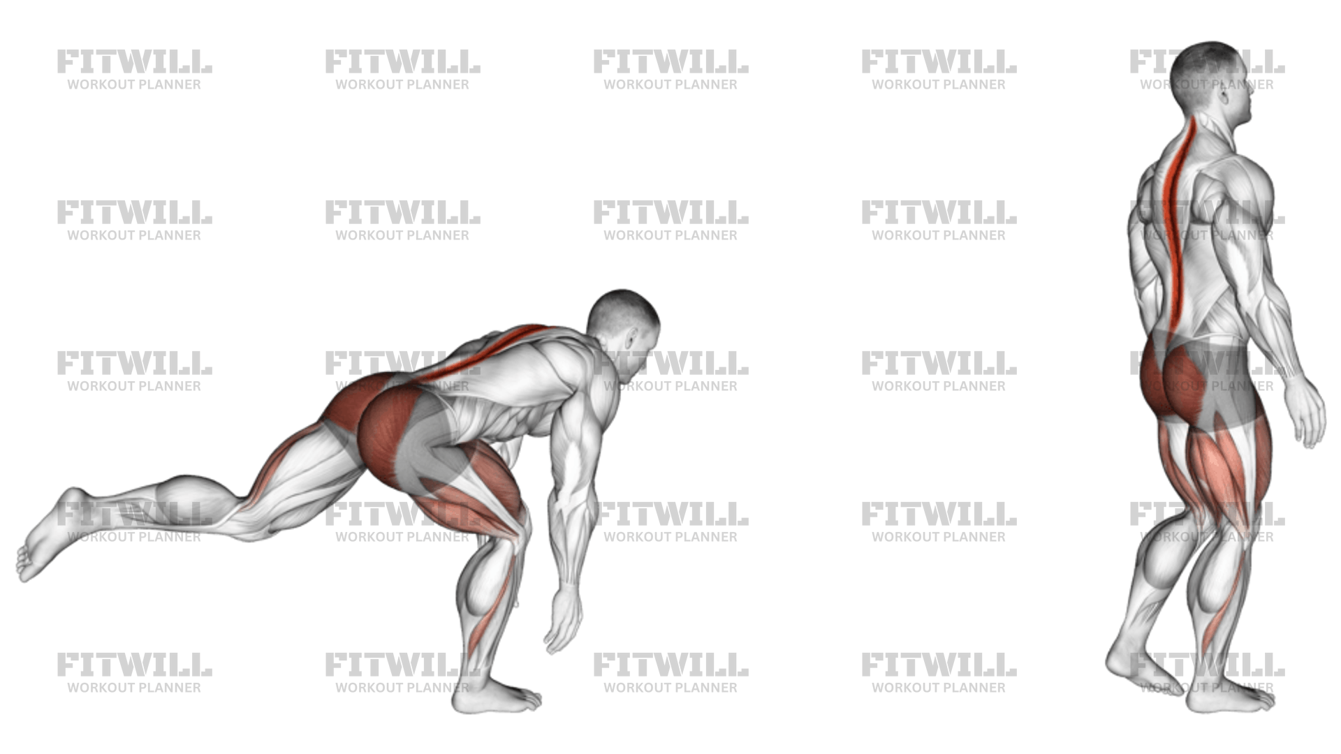 Bodyweight Single Leg Deadlift: Exercise Guide, Video, Techniques ...