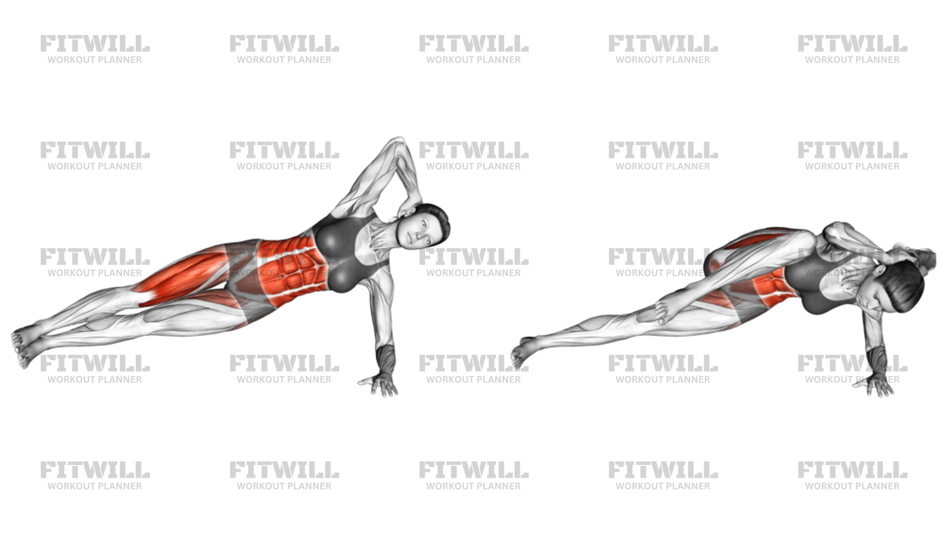 Elbow To Knee Side Plank Crunch: Exercise Guide, Video, Techniques ...