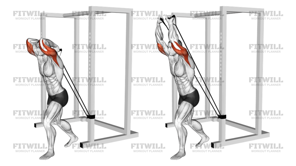 Band Overhead Triceps Extension: Exercise Guide, Video, Techniques ...