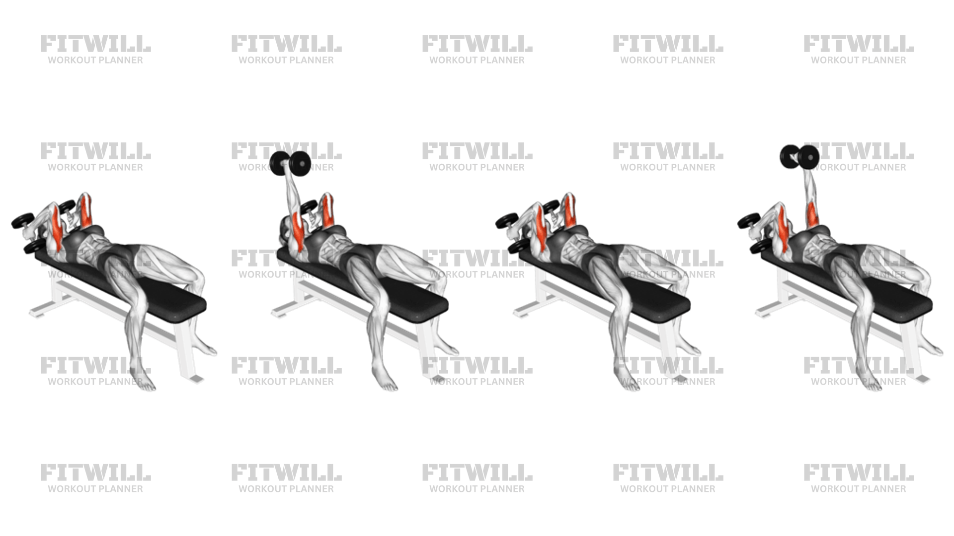 Dumbbell Lying Alternate Extension: Exercise Guide, Video, Techniques ...