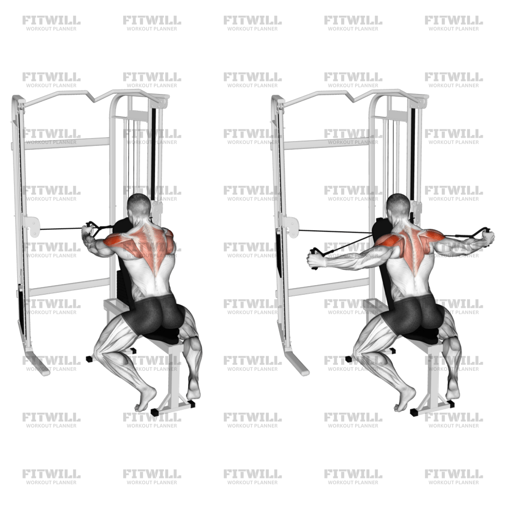 Cable Seated Rear Delt Fly With Chest Support: Exercise Guide ...