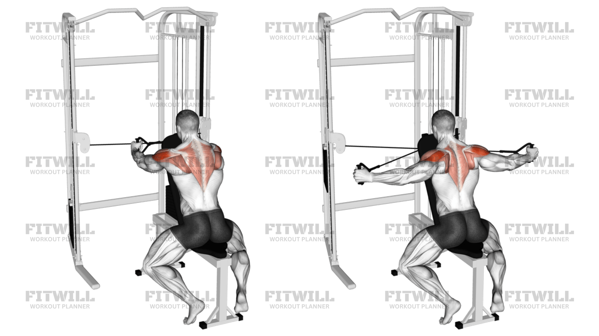 Cable Seated Rear Delt Fly With Chest Support: Exercise Guide ...